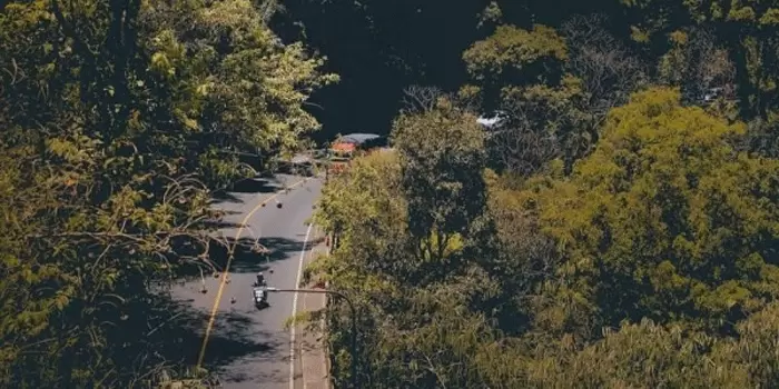 Alas Roban - Hutan Yang Dipenuhi Berbagai Cerita Misteri